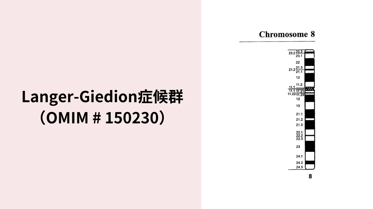 Langer-Giedion症候群（OMIM # 150230） | 東京・ミネルバクリニック