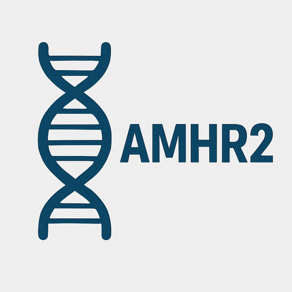 AMHR2遺伝子とミュラー管遺残症候群：原因と検査について | 東京・ミネルバクリニック