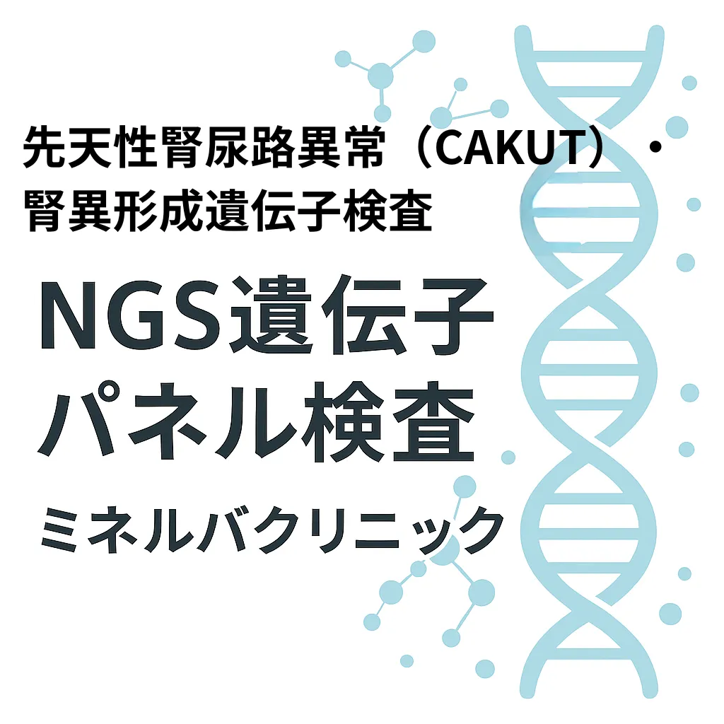 先天性腎尿路異常（CAKUT）・腎異形成 遺伝子パネル検査｜ミネルバクリニック